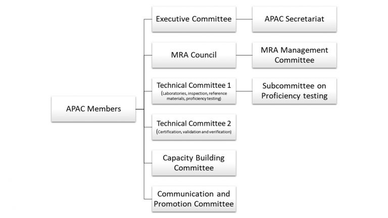20181113 APAC Structure2 - APAC